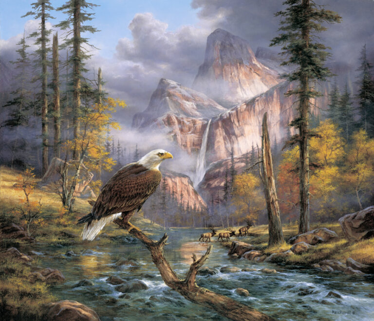 Wildlife - Tile Mural Creative Arts: Custom Image Tiles for All-Weather ...